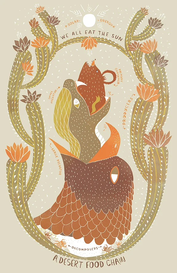 Food chain — Rachel Ignotofsky Design