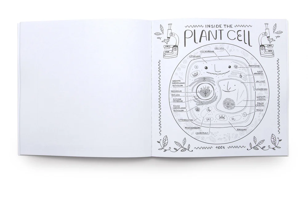 SCIENCE AND NATURE COLORING BOOK — Rachel Ignotofsky Design