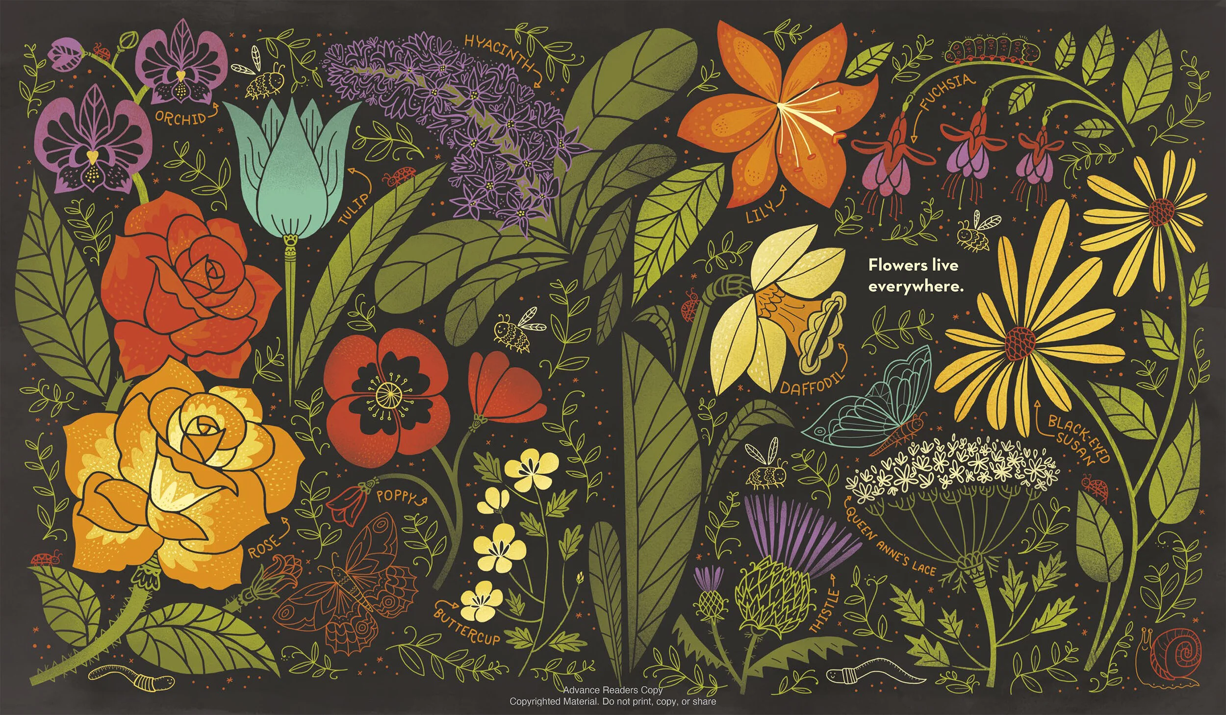 WHAT'S INSIDE A FLOWER? — Rachel Ignotofsky Design