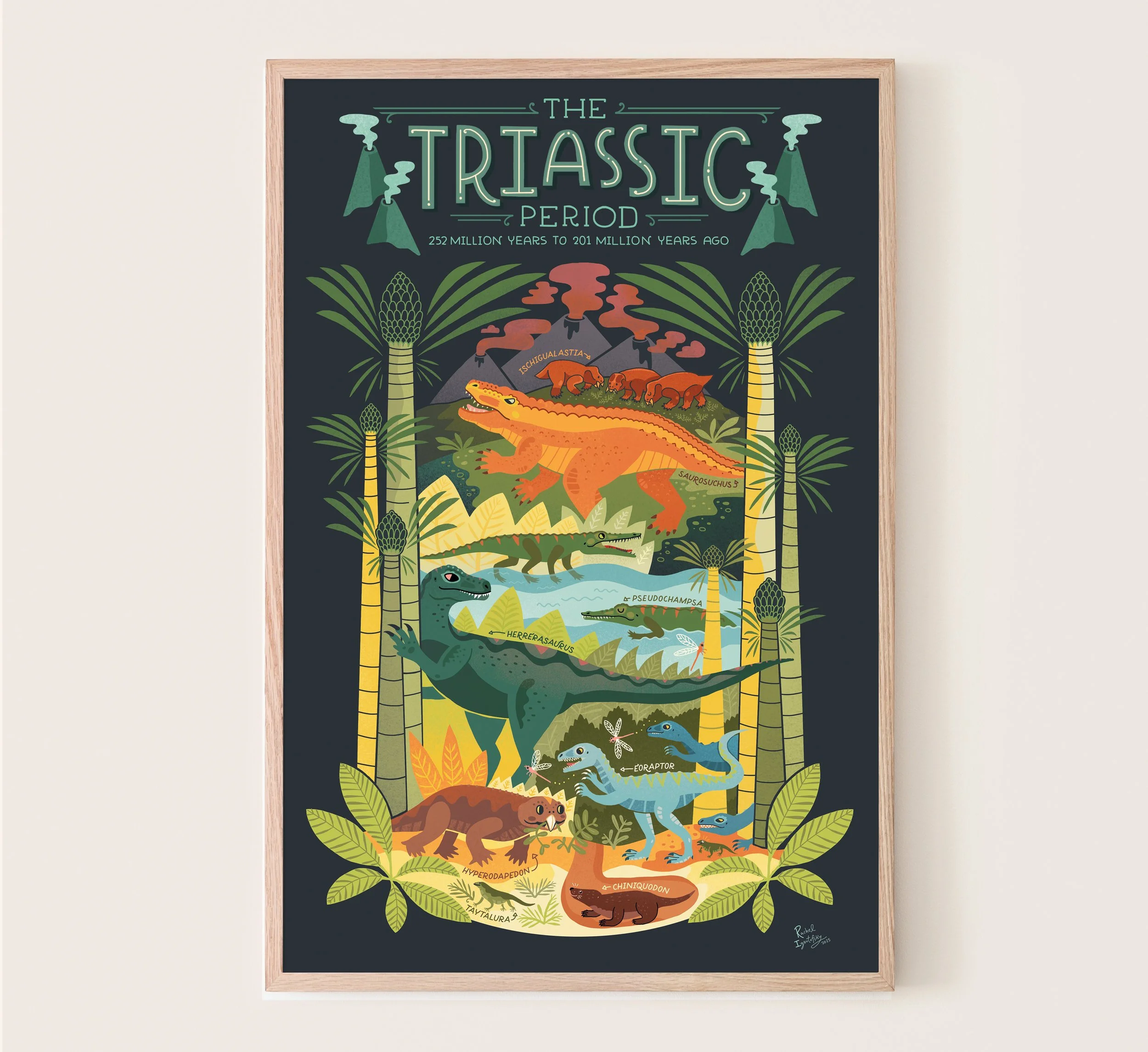 POSTERS — Rachel Ignotofsky Design