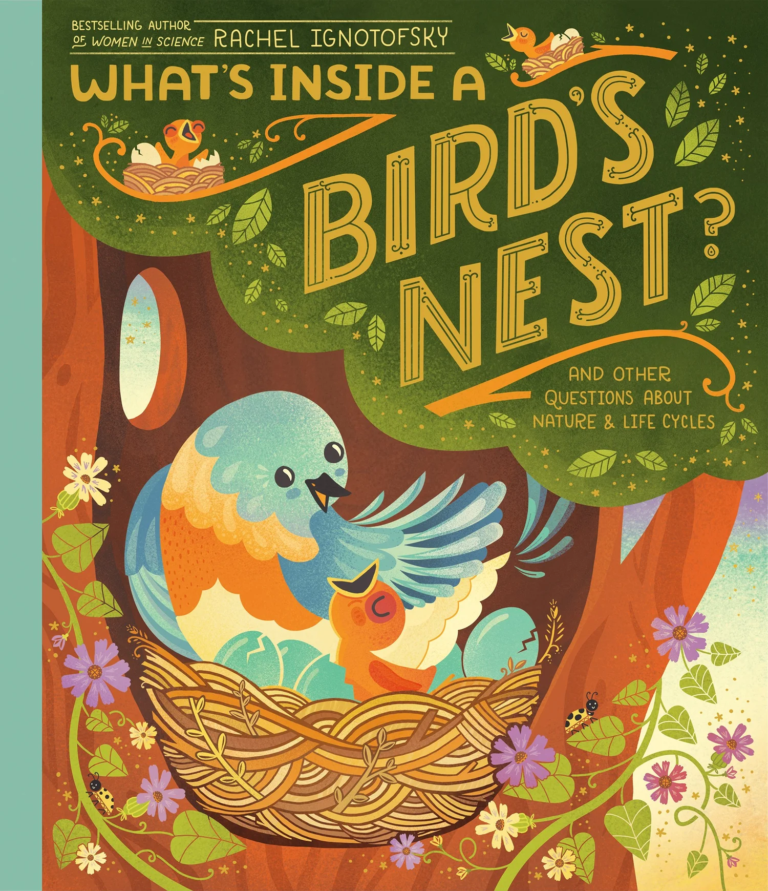 WHAT'S INSIDE A BIRD'S NEST? — Rachel Ignotofsky Design