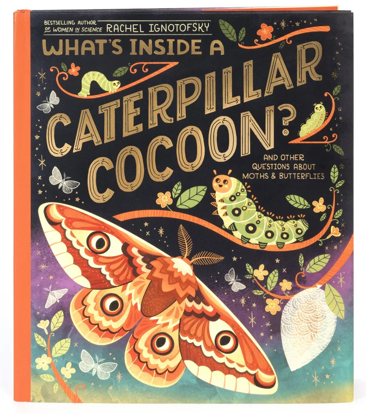 WHAT'S INSIDE A CATERPILLAR COCOON? — Rachel Ignotofsky Design