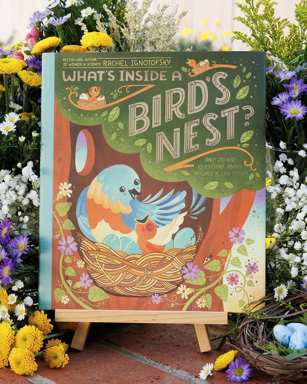 WHAT'S INSIDE A BIRD'S NEST? — Rachel Ignotofsky Design