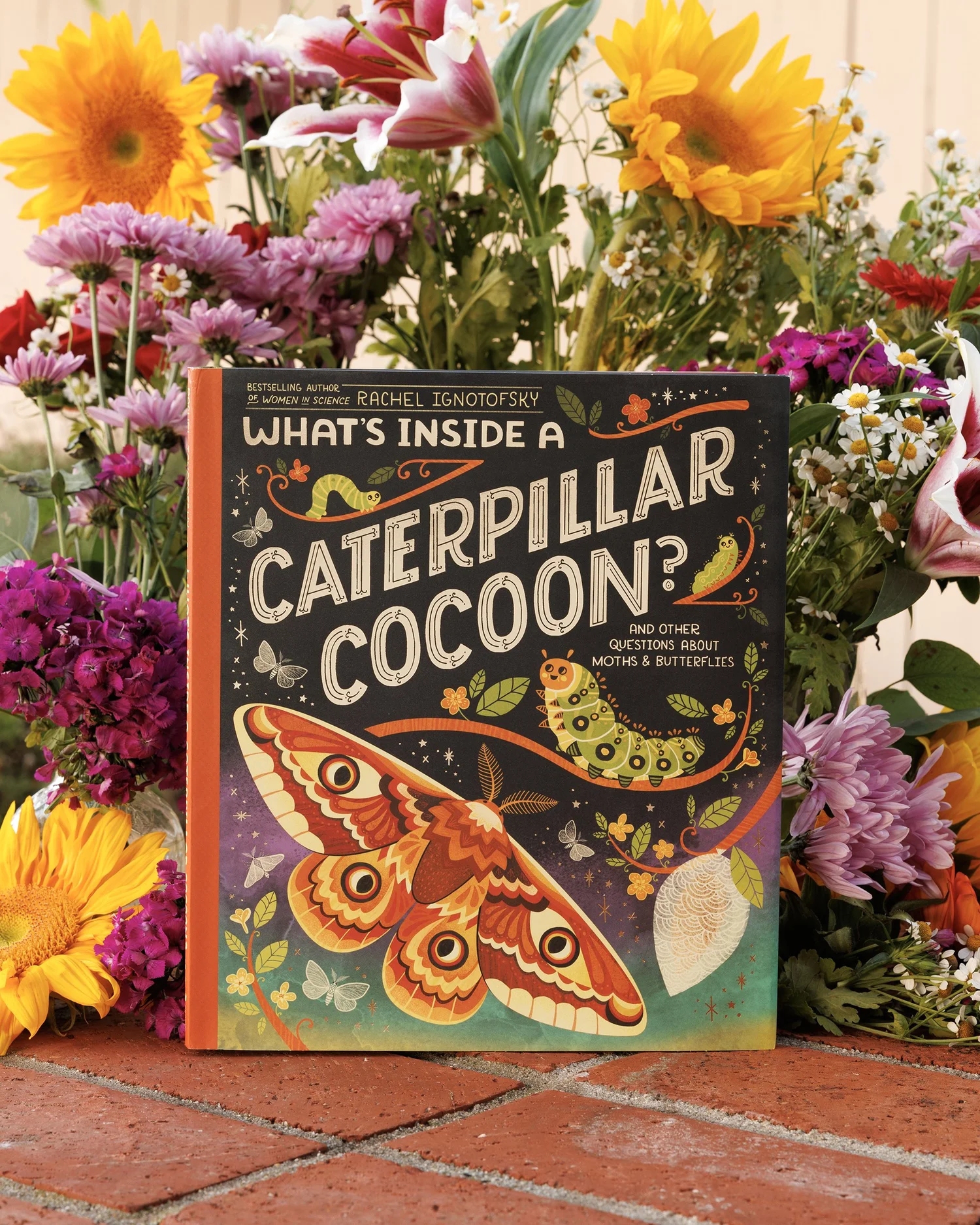 WHAT'S INSIDE A CATERPILLAR COCOON? — Rachel Ignotofsky Design