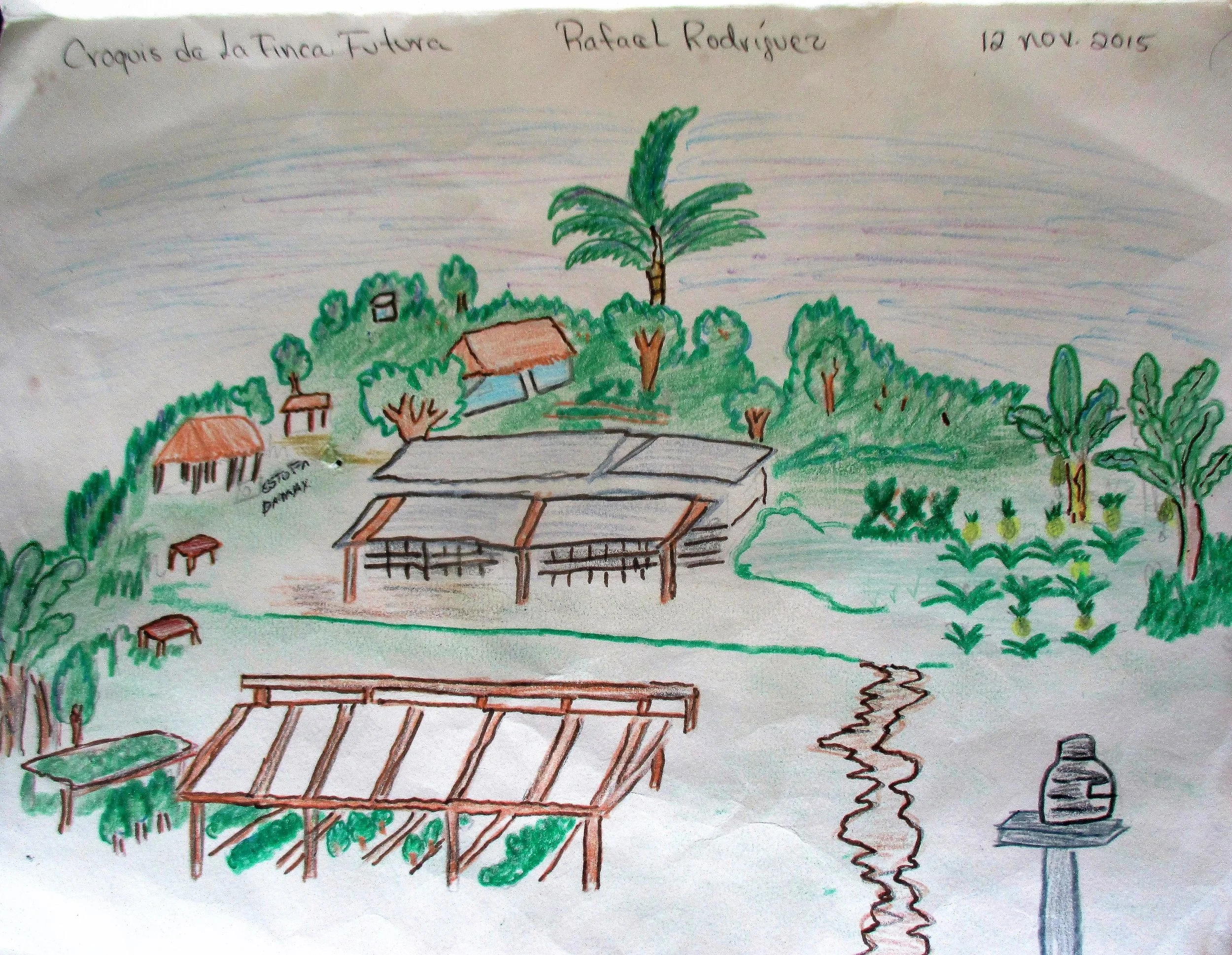 Building a Brighter Future — Sustainable Harvest International: For ...