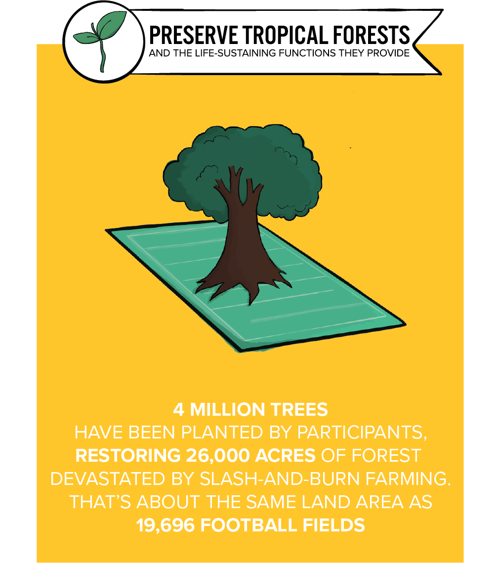 Impact — Sustainable Harvest International: Regenerative Agriculture ...