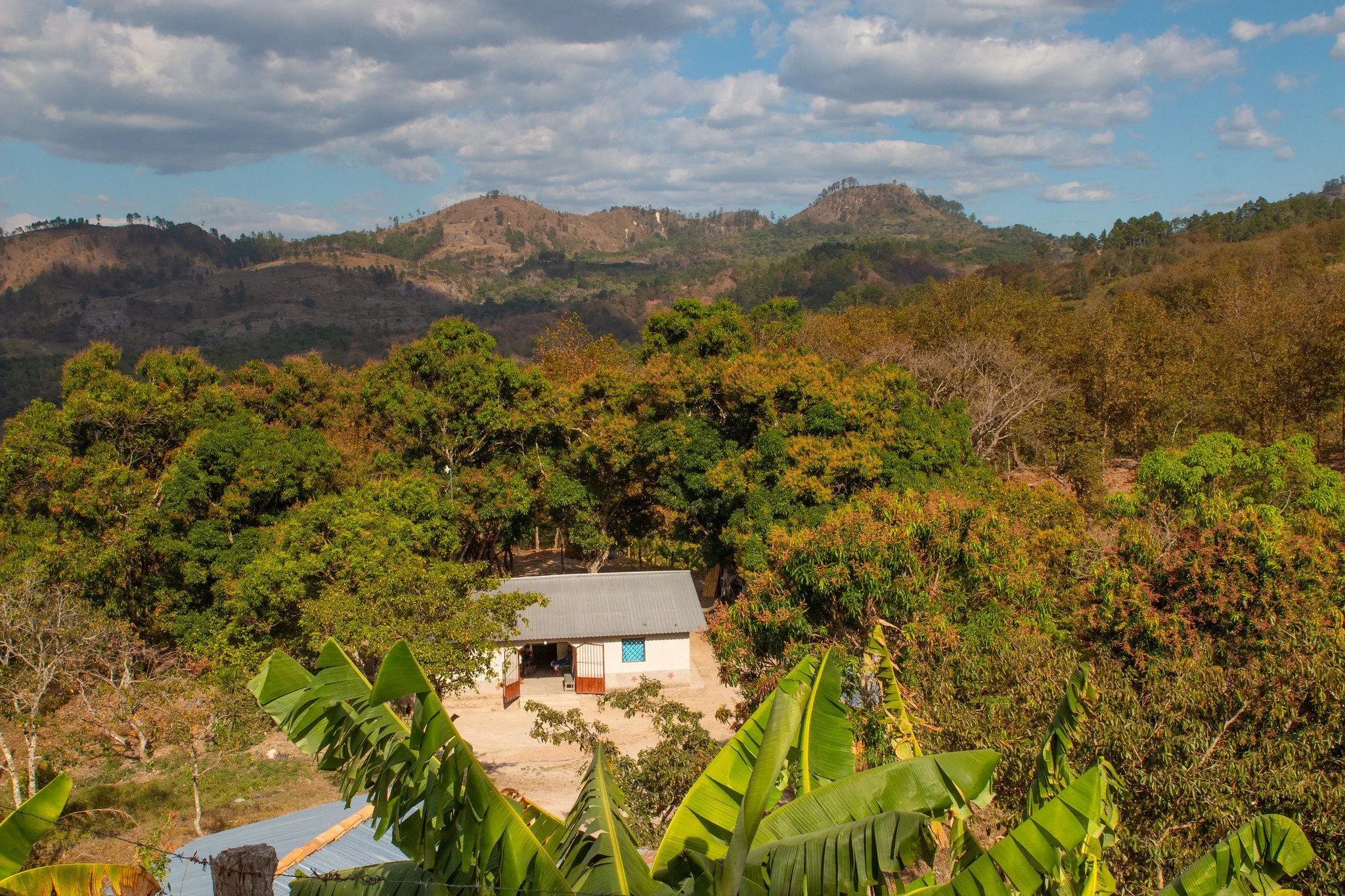 Clinton Global Initiative — Sustainable Harvest International ...