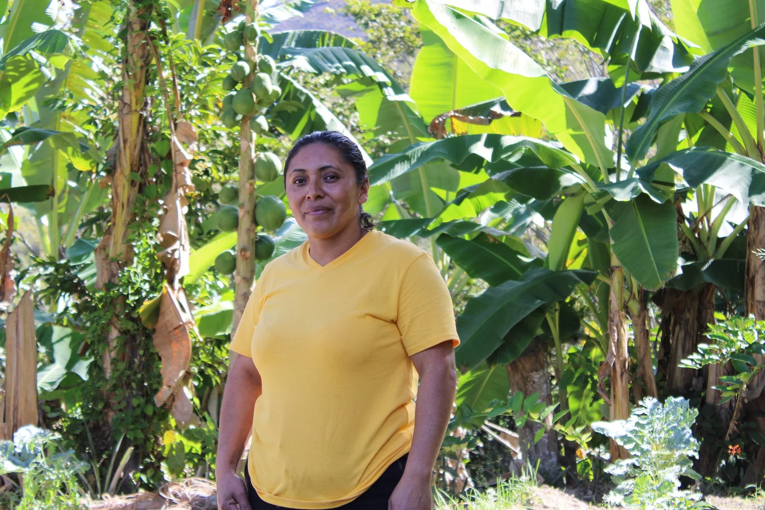 Impact — Sustainable Harvest International: For People + the Planet