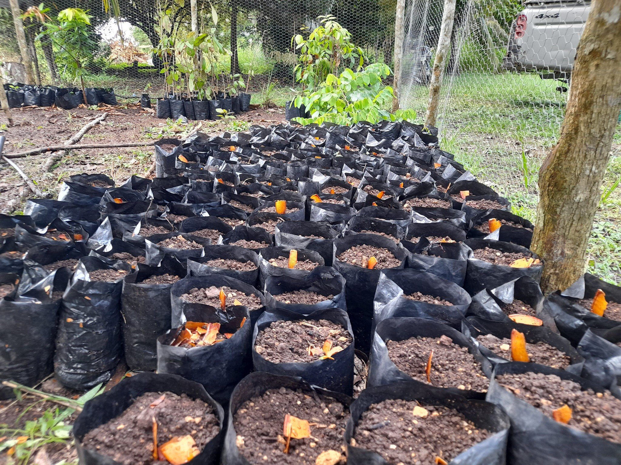Mission — Sustainable Harvest International: For People + the Planet