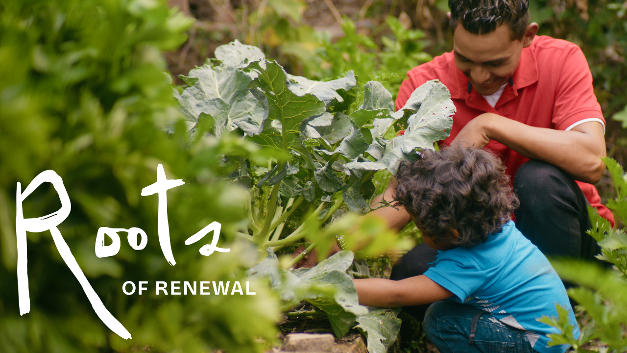 Roots of Renewal Film Screenings — Sustainable Harvest International: For People + the Planet