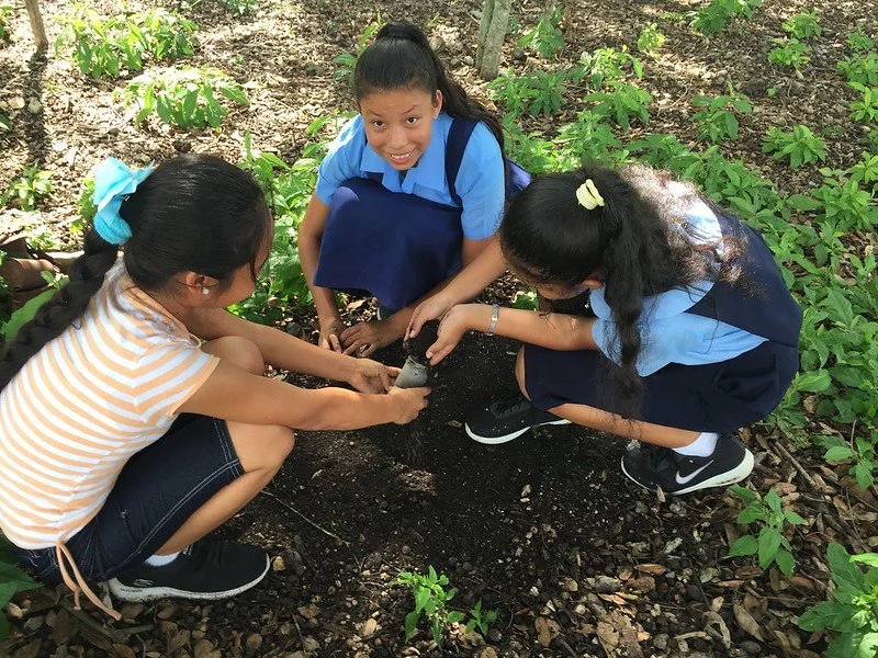 Donate — Sustainable Harvest International: For People + the Planet