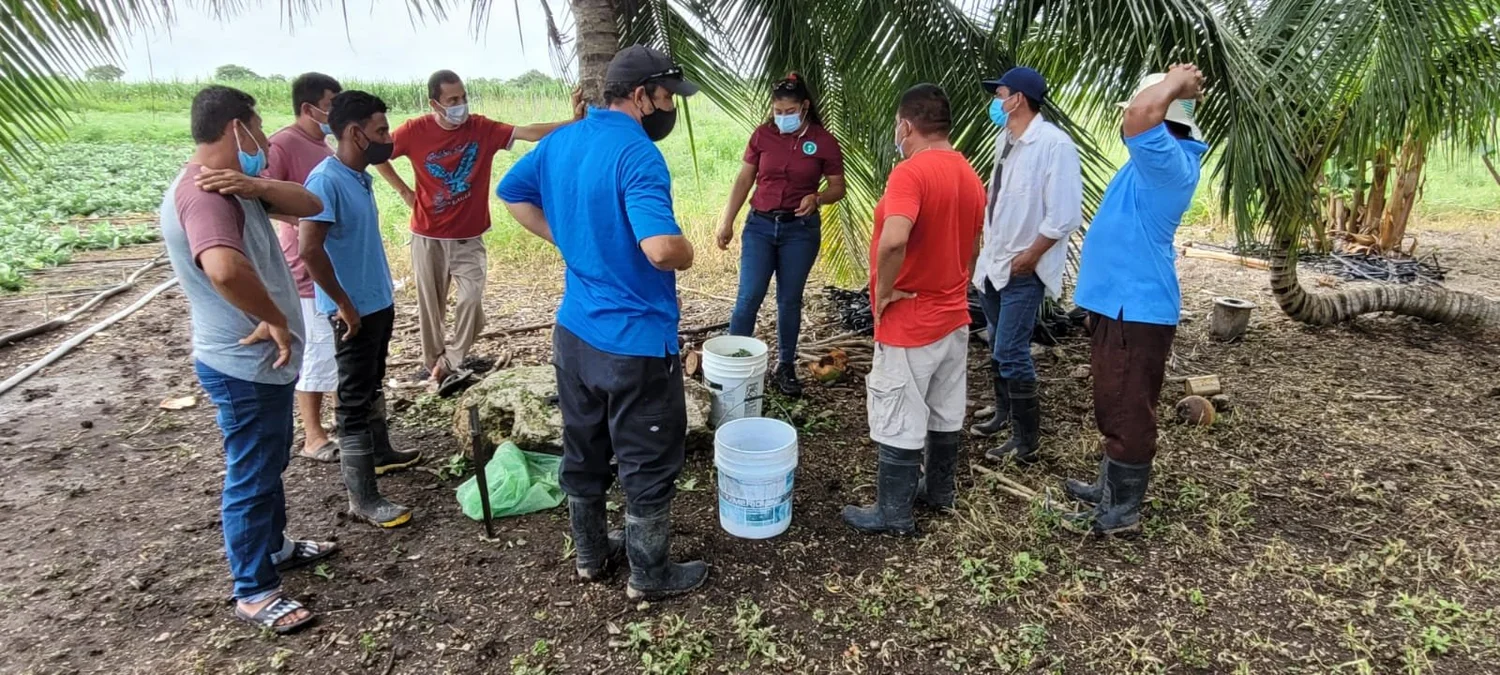 Forging Alliances for a Biodiverse Belize — Sustainable Harvest ...