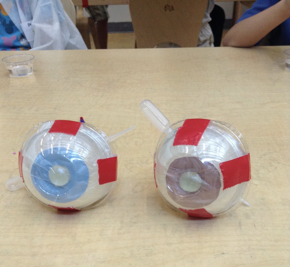 Where Do Tears Come from and why do I have them when I feel crummy ...