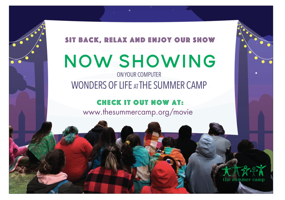 About — The Summer Camp