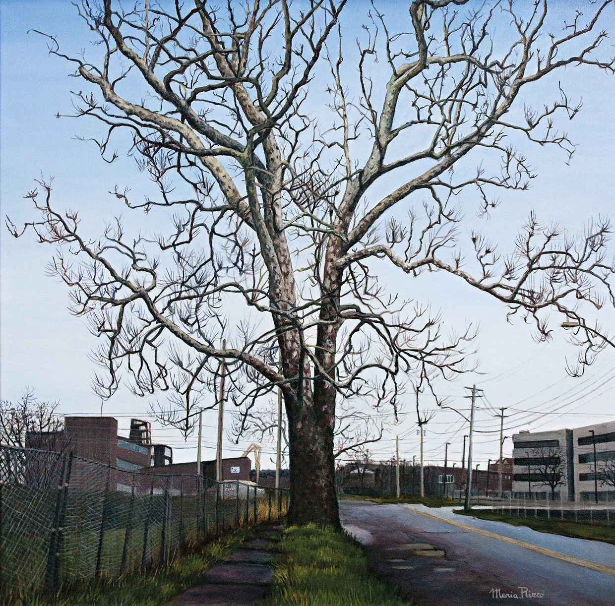 Maria Rizzo Art