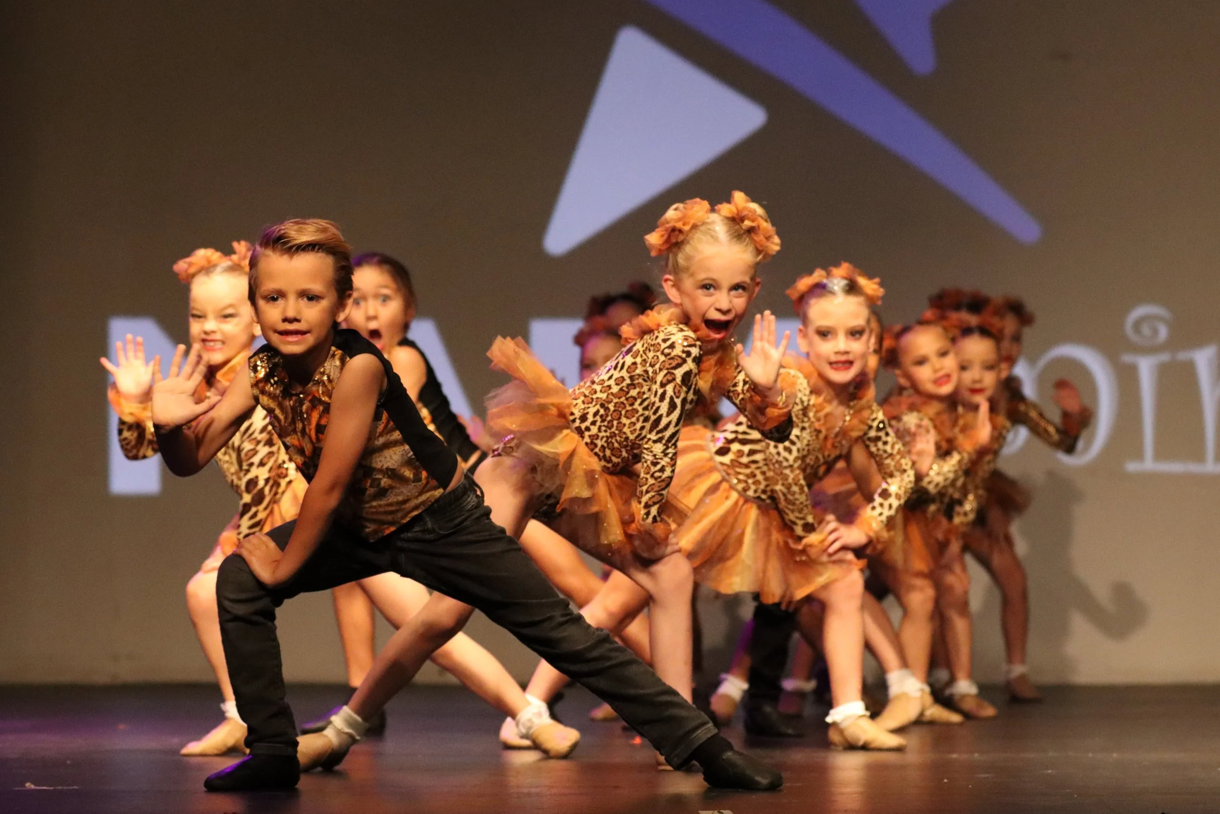 National Academy of Performing Arts (NAPA)