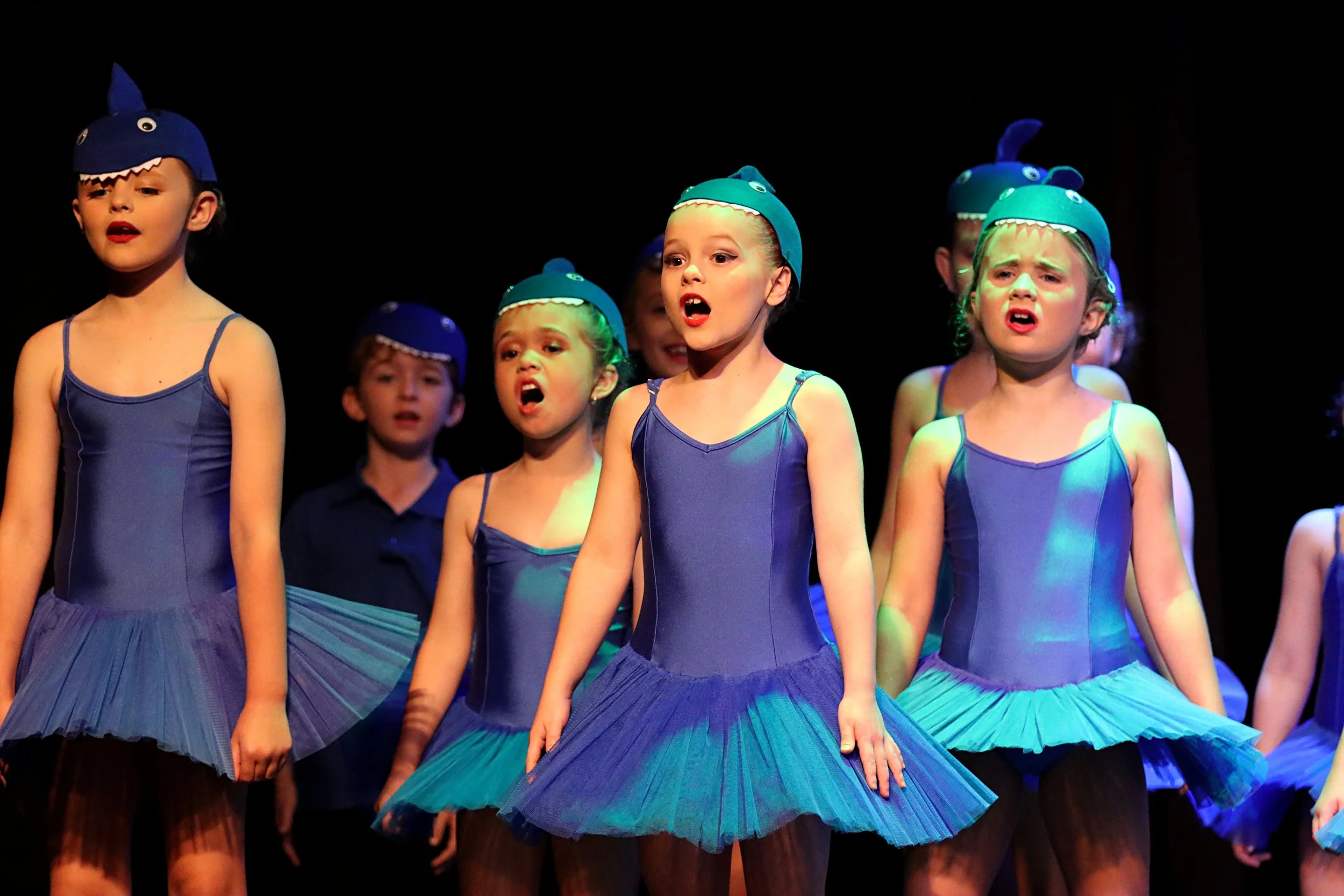 Finding Nemo Jr — National Academy of Performing Arts (NAPA)