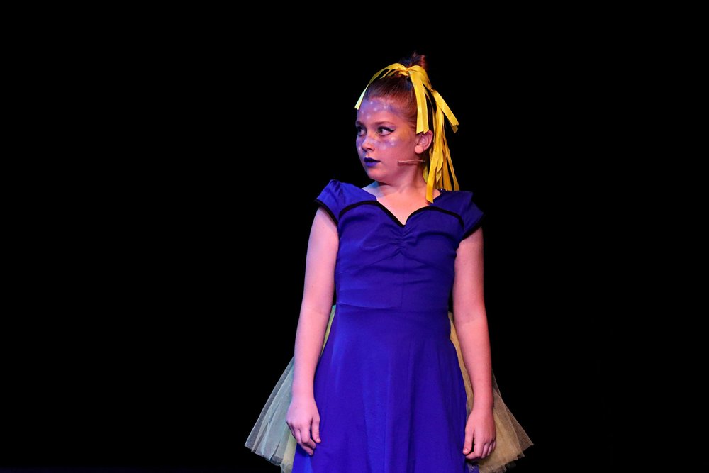 Finding Nemo Jr — National Academy of Performing Arts (NAPA)