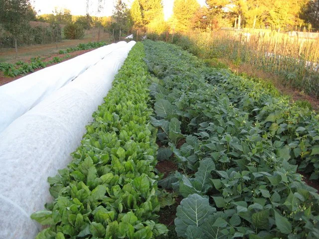 Find Us — Fry Farm