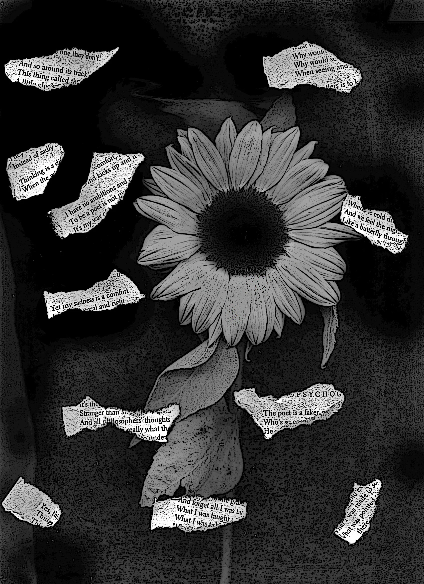 Reflections — STASJA VOLUTI