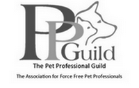Project Canine Therapy Dogs