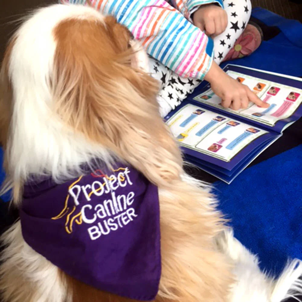 Project Canine Therapy Dogs