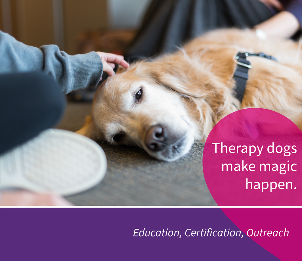 How Your Dog Can Be A Therapy Dog