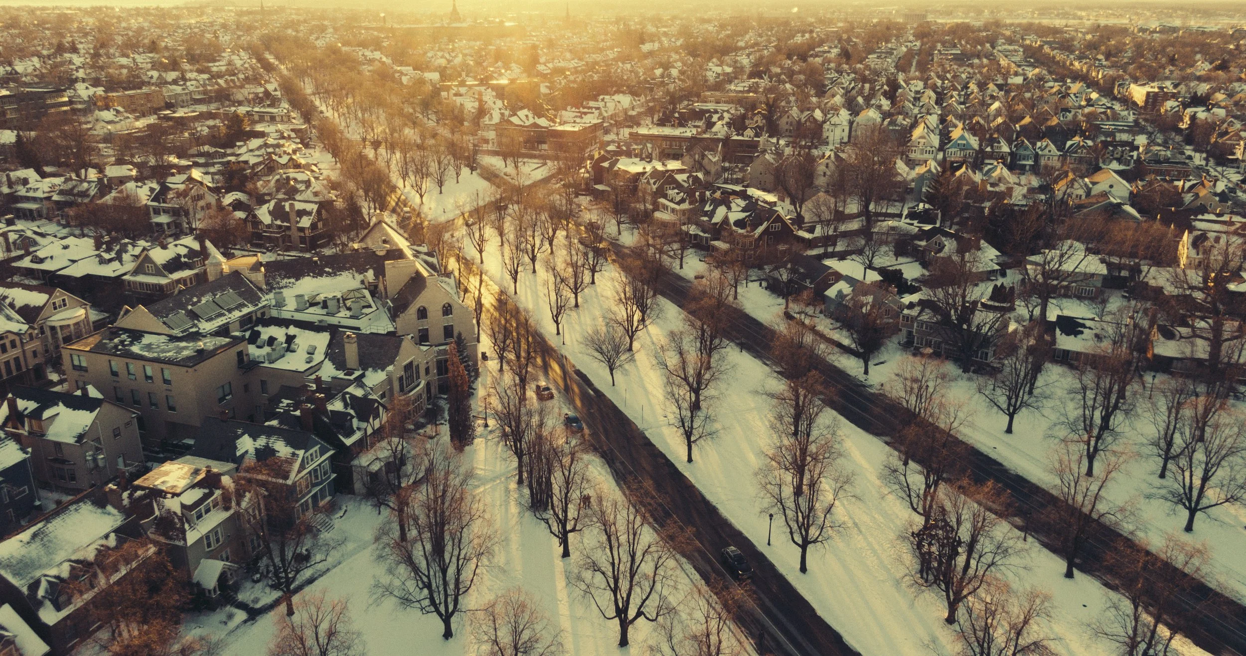 Prints — TORREY JOHNSON