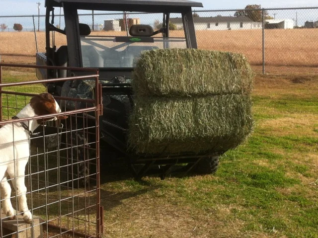 about the ox rack — The Ox Rack