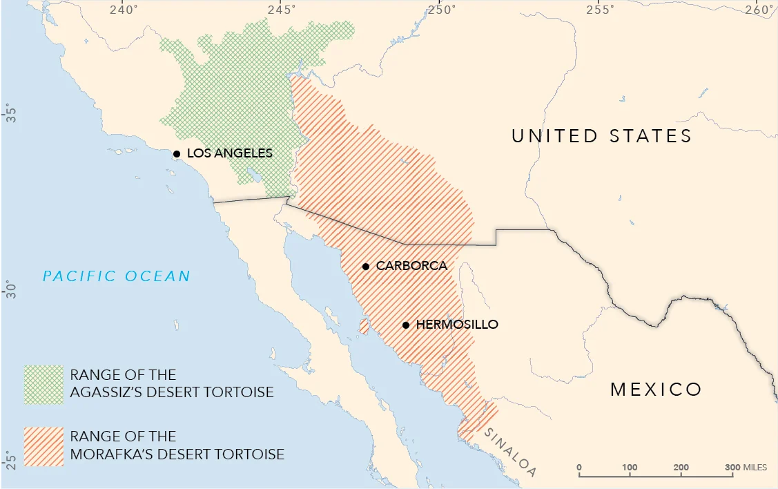 Desert Tortoise Habitat Map