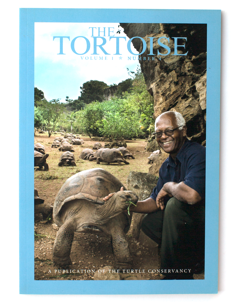 Darwins Tortoise