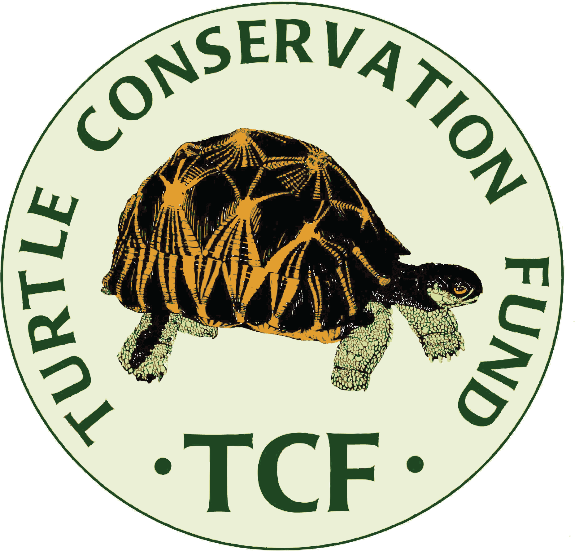 Turtle Conservancy — Partners
