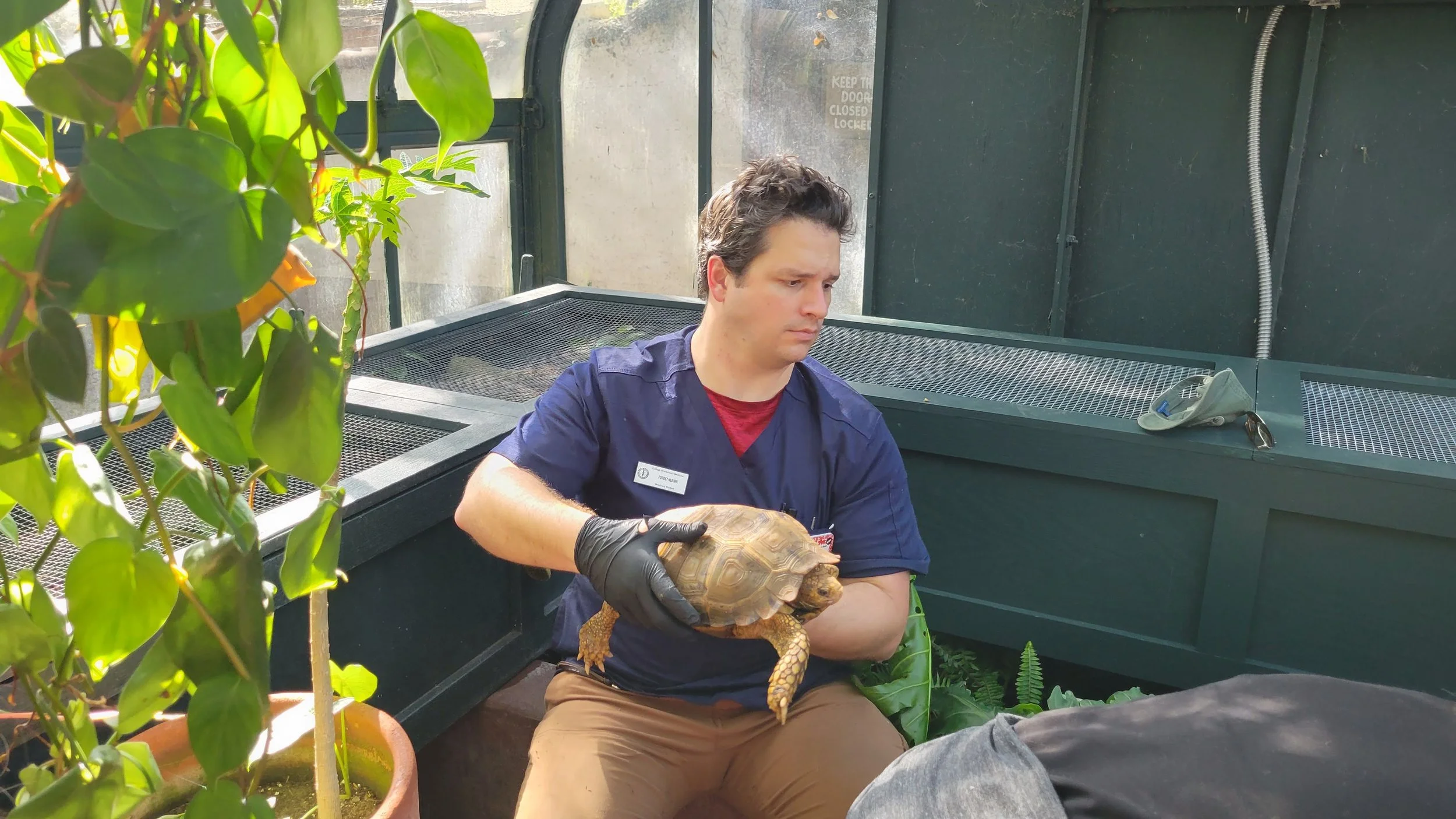 Turtle Conservancy — Programs
