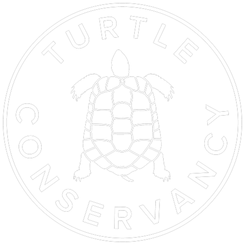 Turtle Conservancy