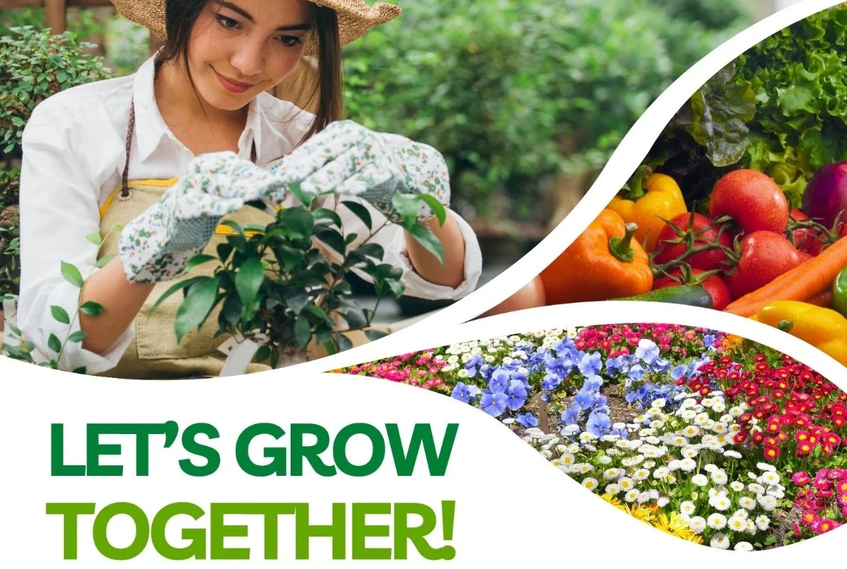 Let’s Grow Together: A Blooming Spring Event Right Next Door! 🌿🌼 ...