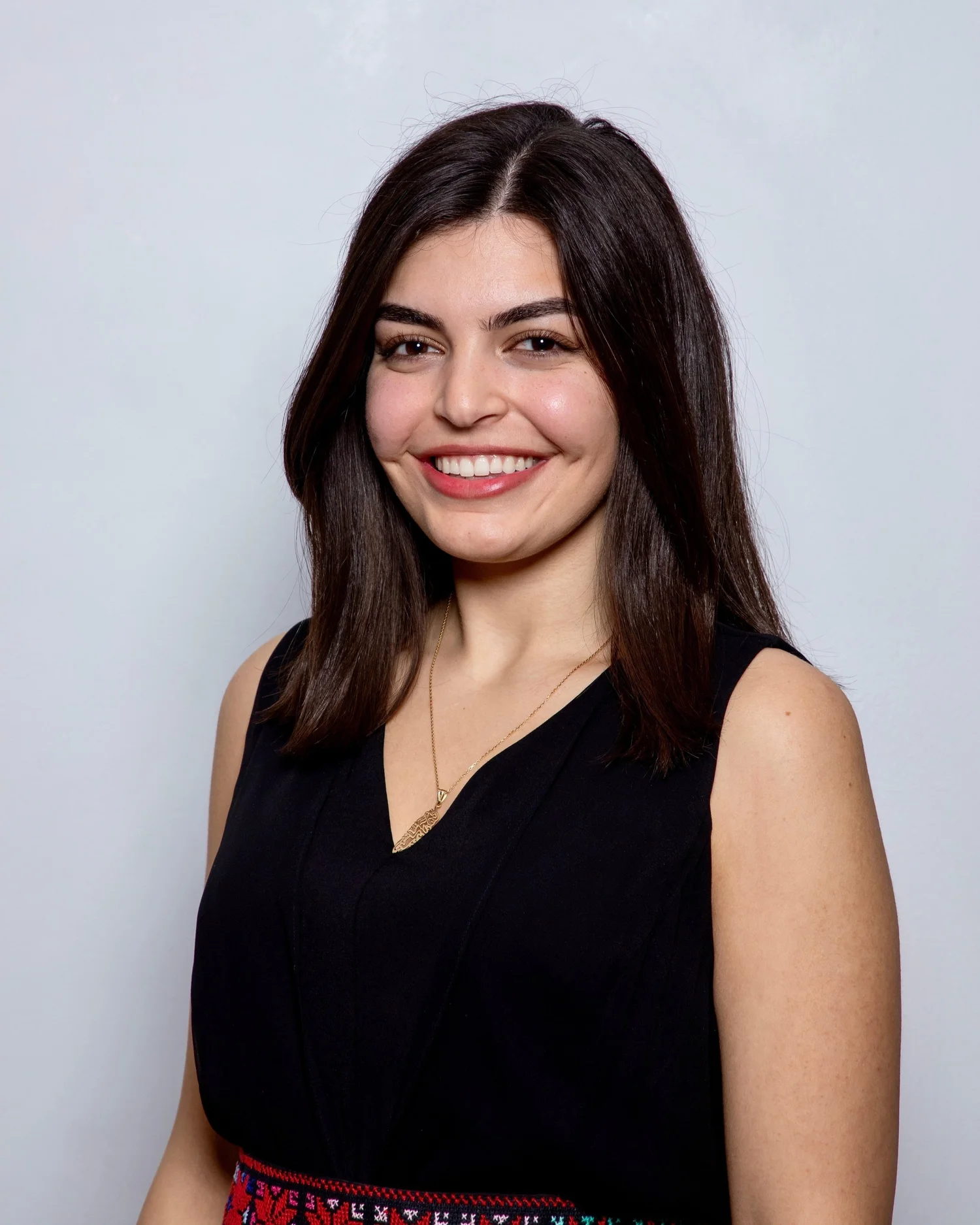 ABOUT — Palestine Legal