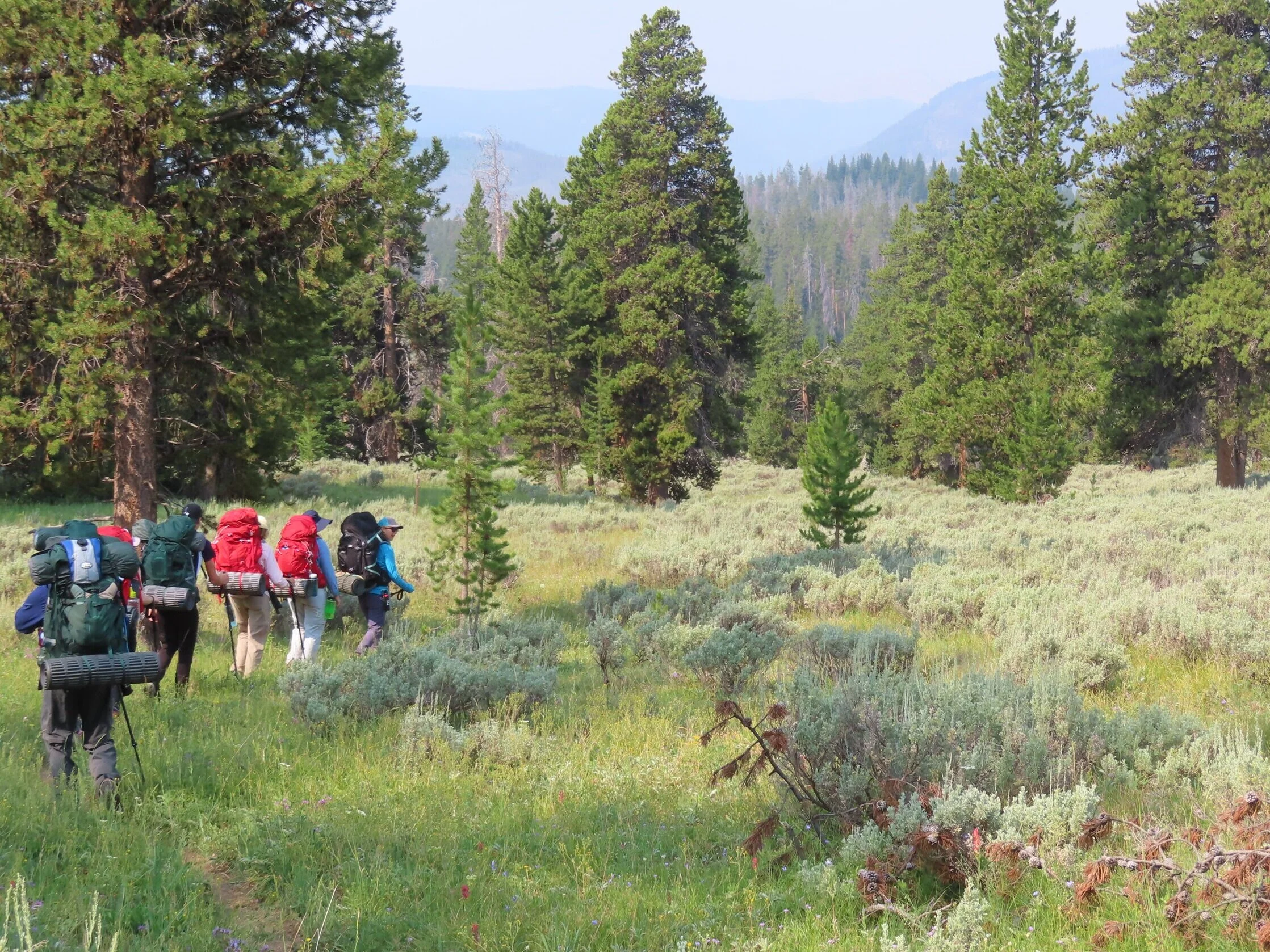 Guided Yellowstone Tours| Vacations in Yellowstone National Park