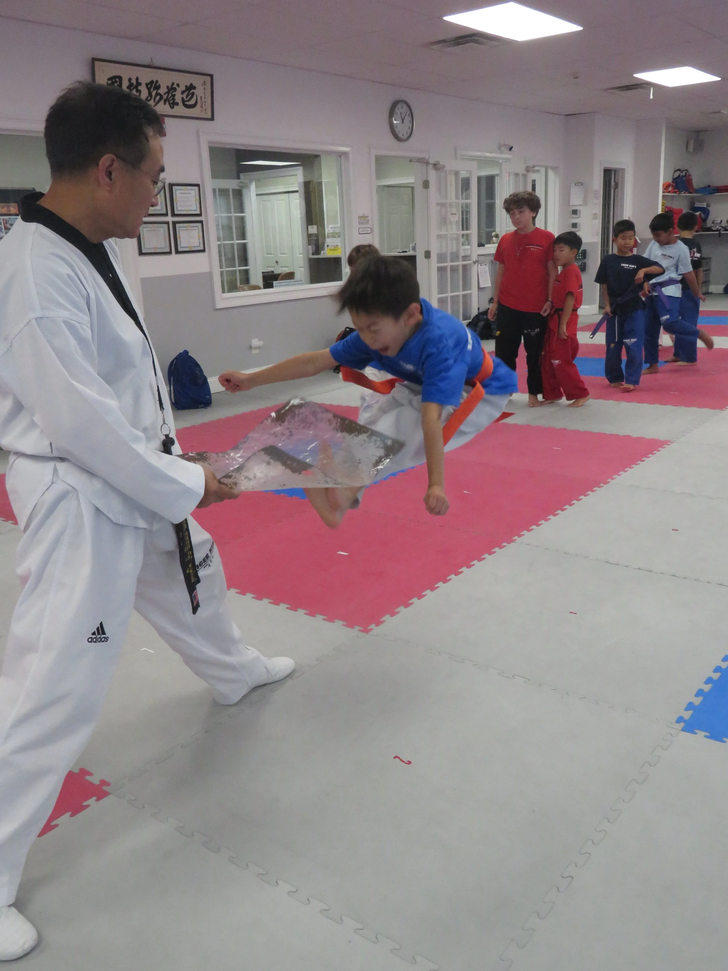 Tiger Kim's Taekwondo