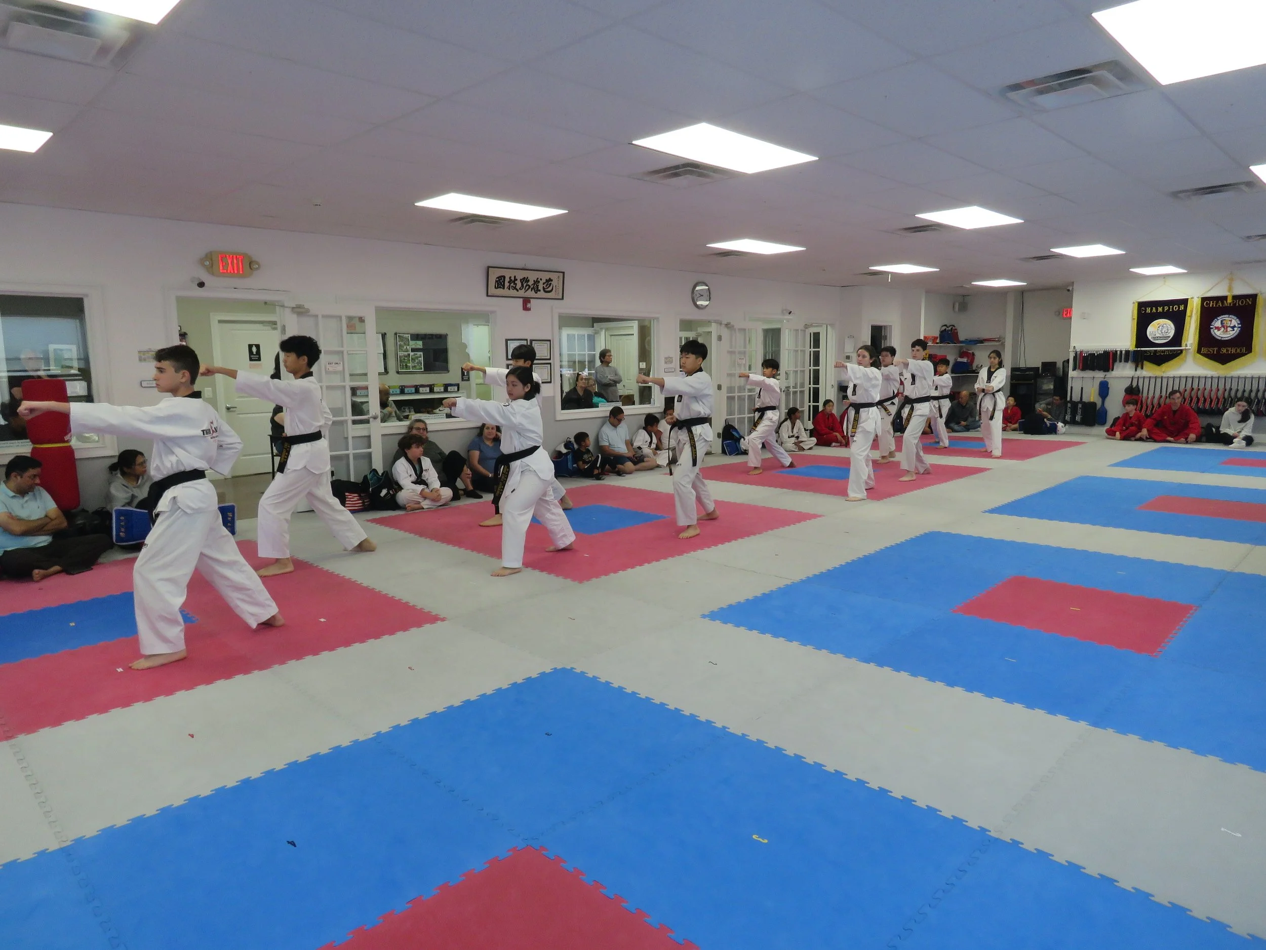 Tiger Kim's Taekwondo