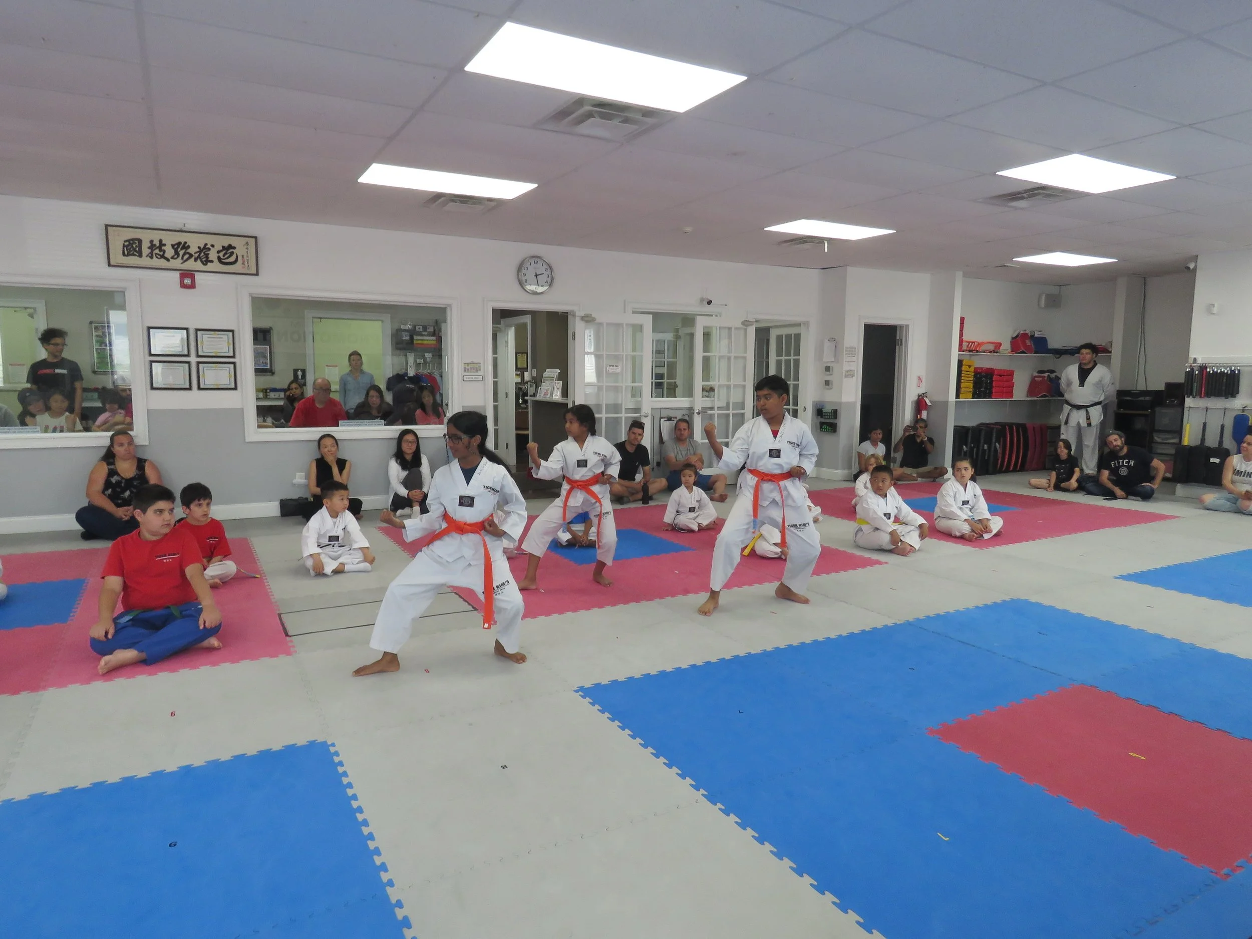 Tiger Kim's Taekwondo