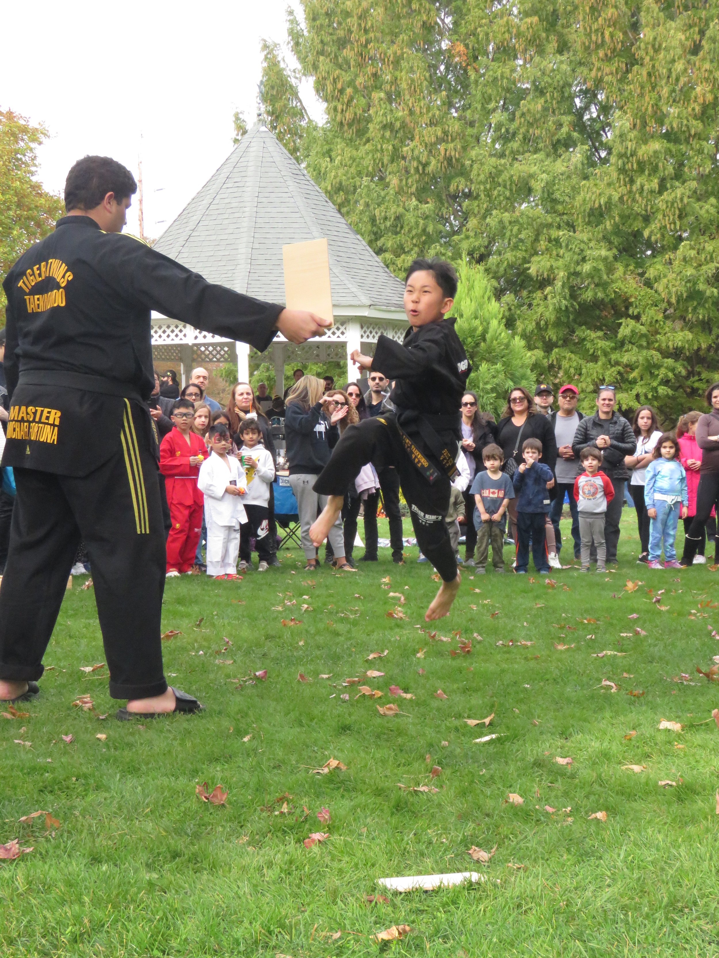Tiger Kim's Taekwondo
