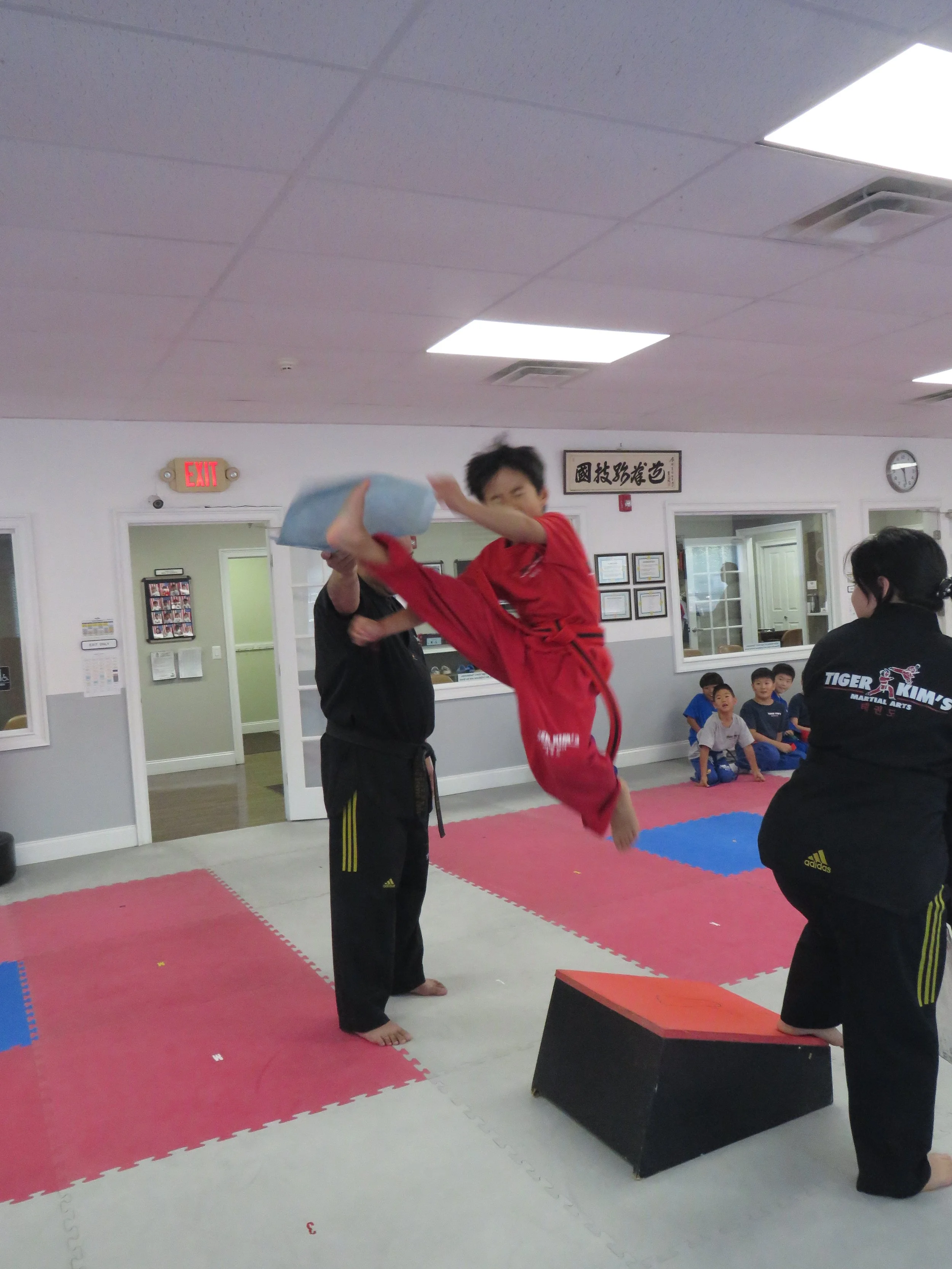 Tiger Kim's Taekwondo