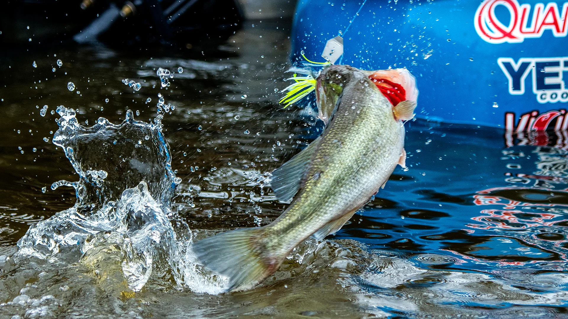 Sweetwater Fishing Blog