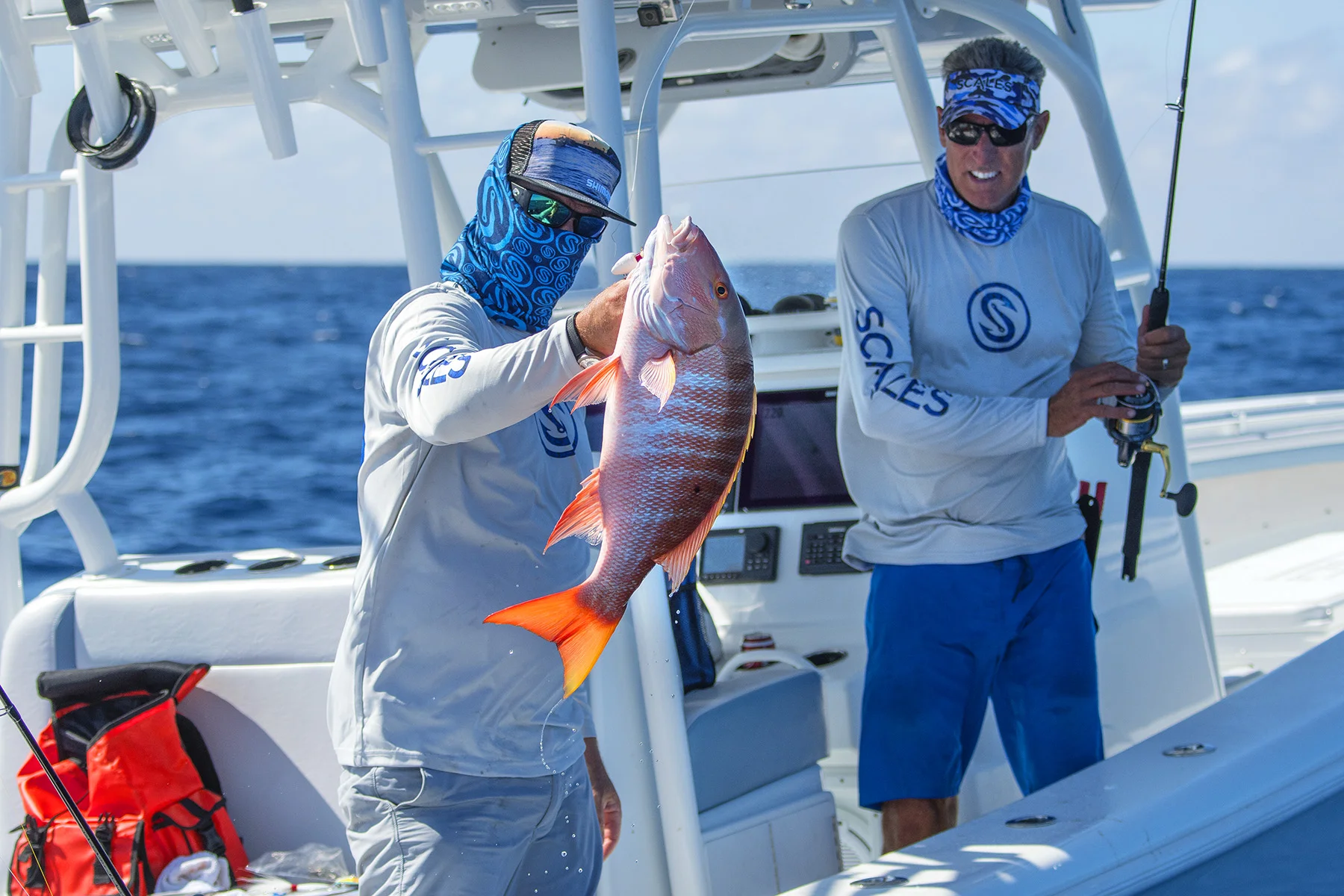 Mutton Spawn Bahamas Into The Blue Fishing Blog mutton-spawn-bahamas-into-the-blue-fishing-blog