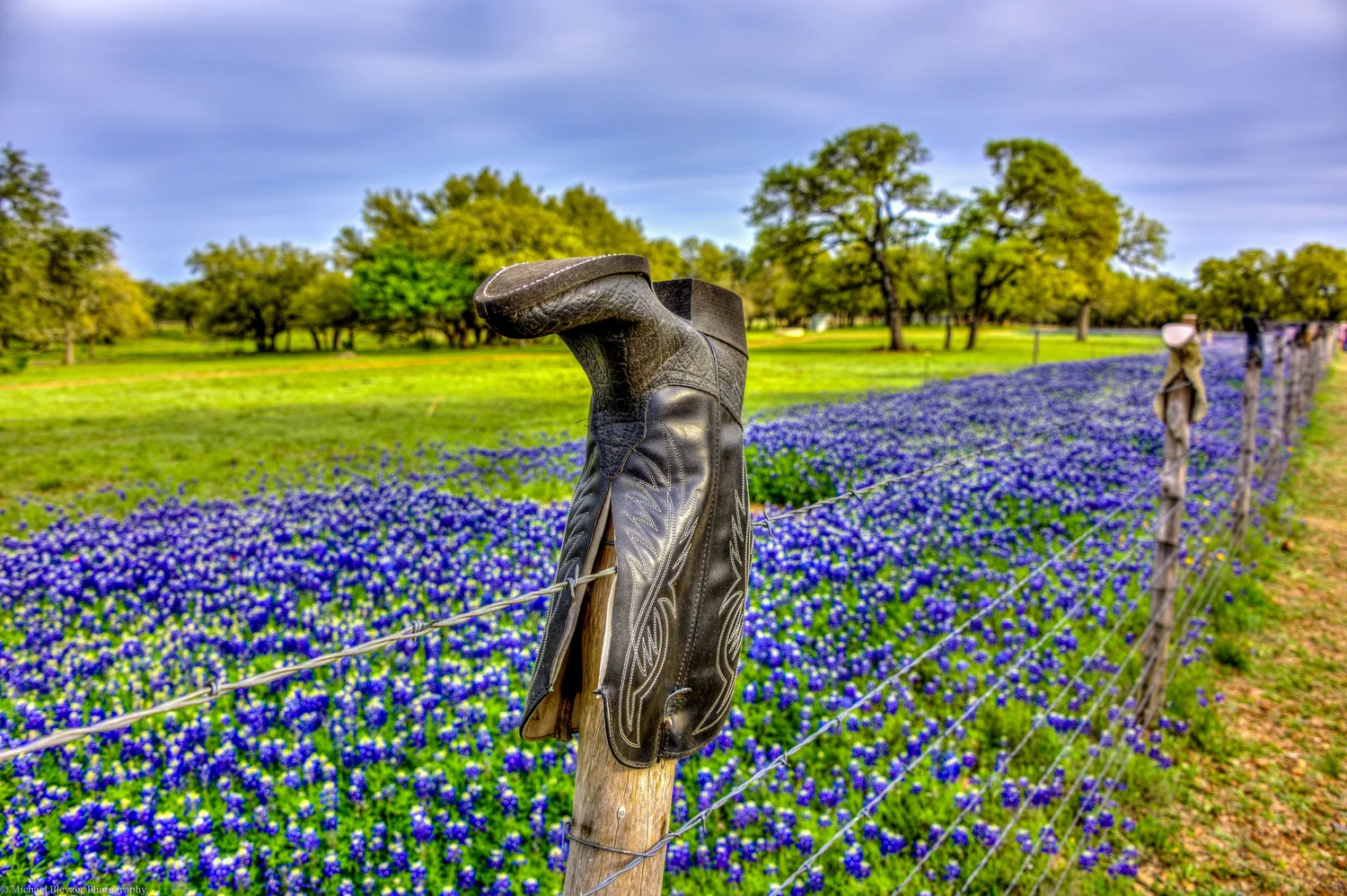 Texas Bluebonnet Workshop — Jason Weingart Photography