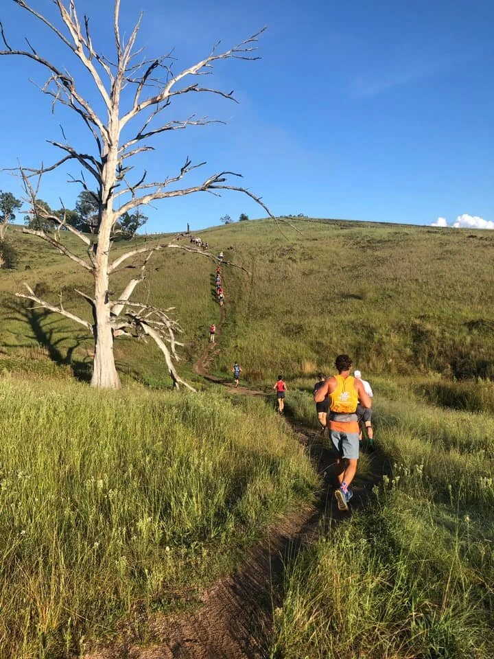 Six Foot Track 2021 — Rejoov Runners