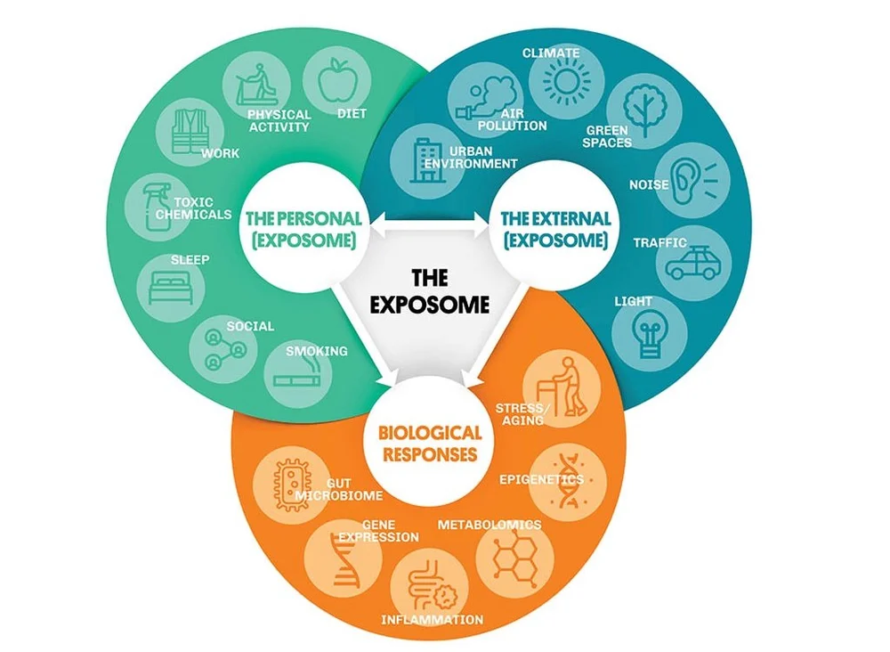 Influências do exposoma dos pais na saúde futura dos filhos — ANDREIA ...