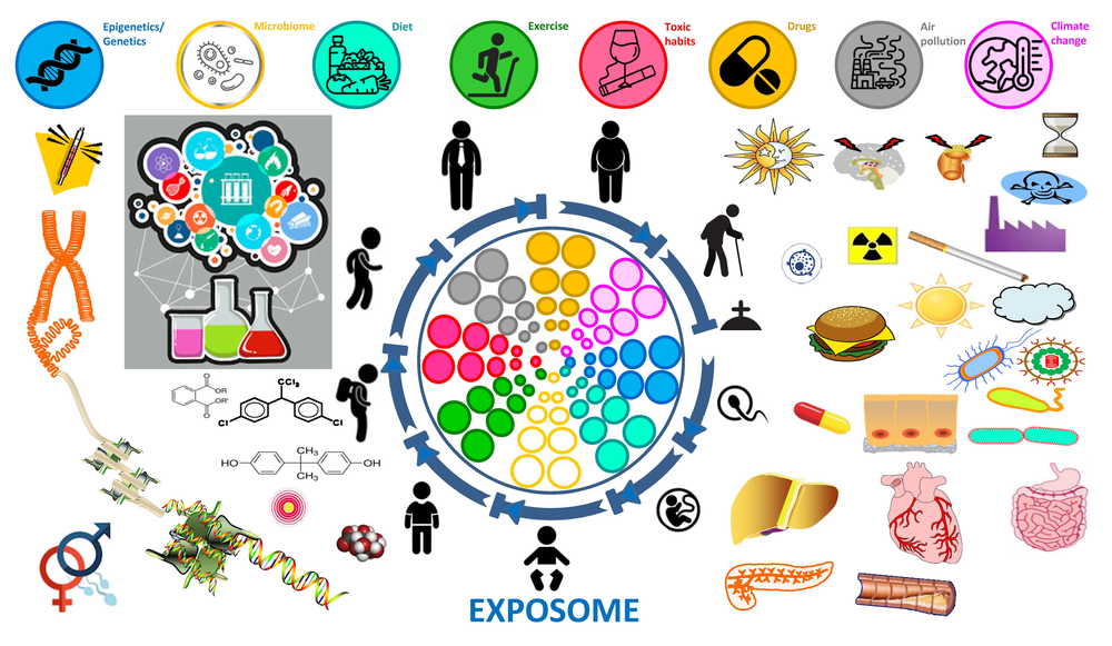 Expossoma e microbiota — ANDREIA TORRES