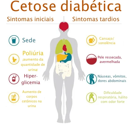 Cetoacidose diabética: prevenção e tratamento — ANDREIA TORRES