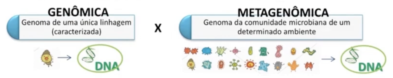 O que é metagenômica? — ANDREIA TORRES